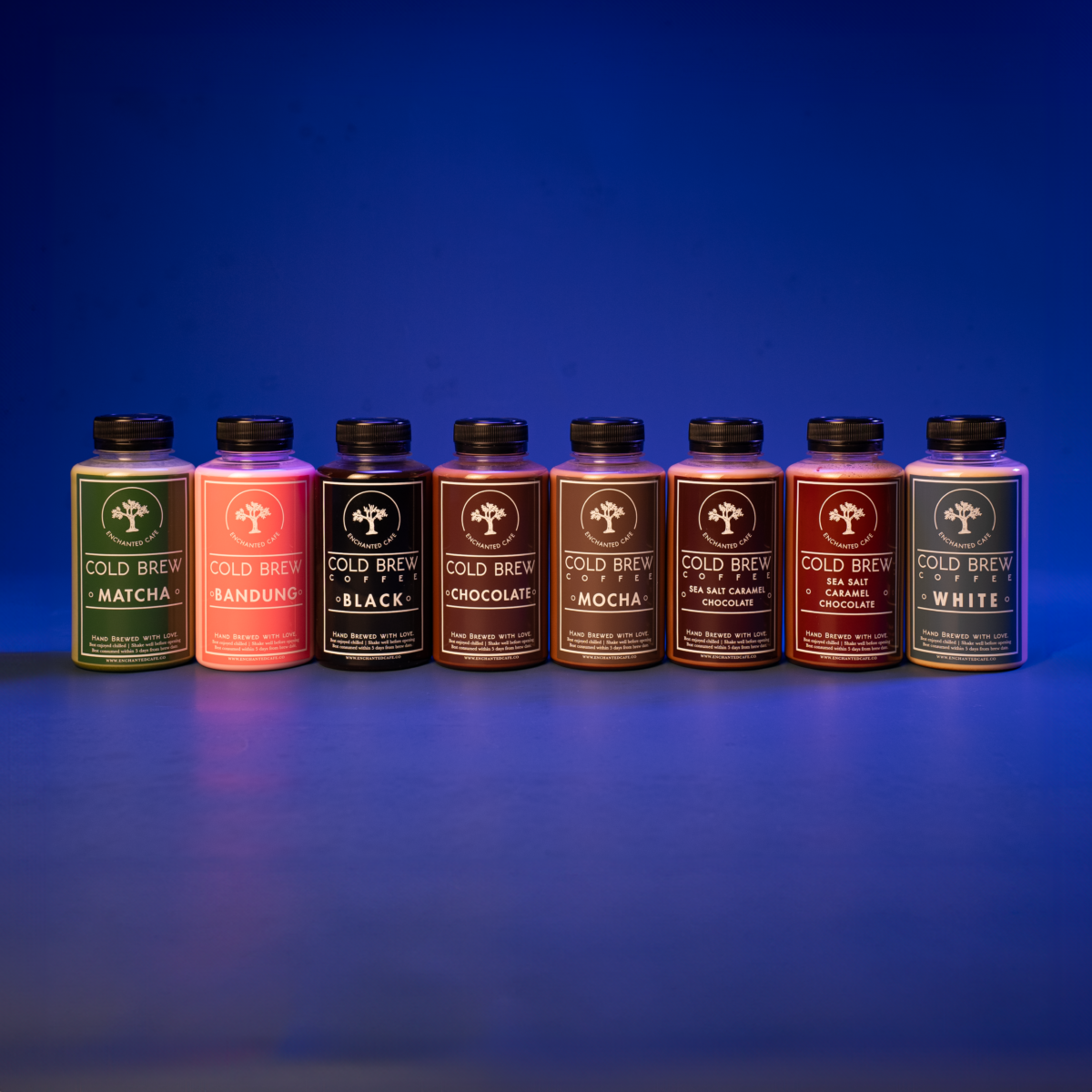 Signature Cold Brew - Enchanted Cafe